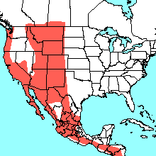 Mammal Collection | Fisheries & Wildlife | Oregon State University